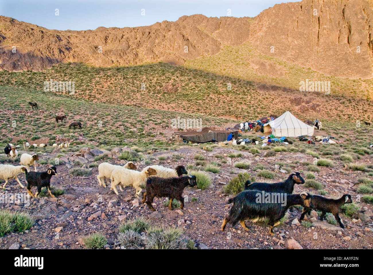 Berber Ait Atta Tribe High Resolution Stock Photography and Images - Alamy