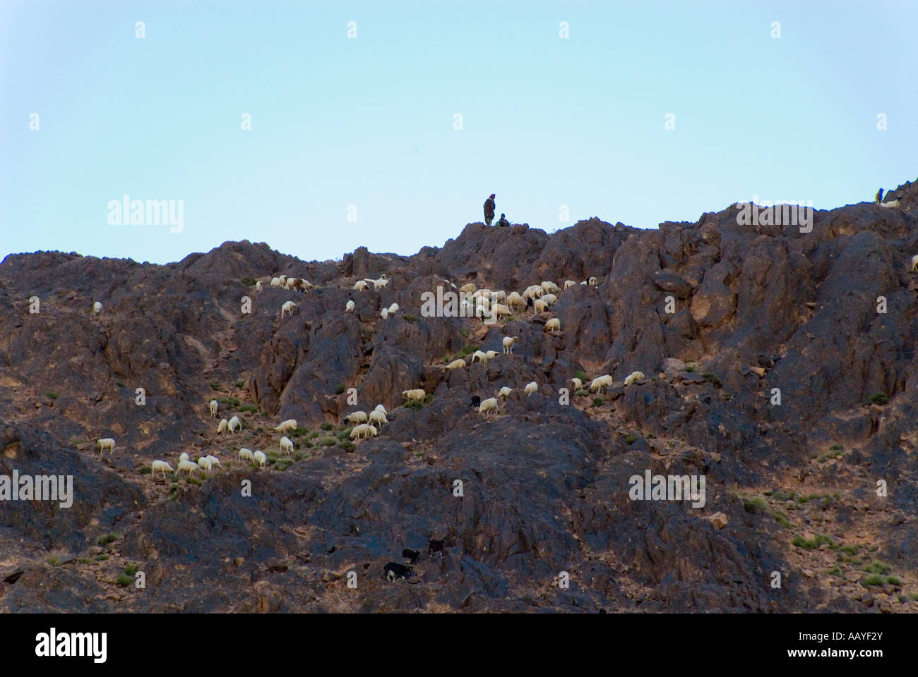 Berber ait atta tribe hi-res stock photography and images - Alamy