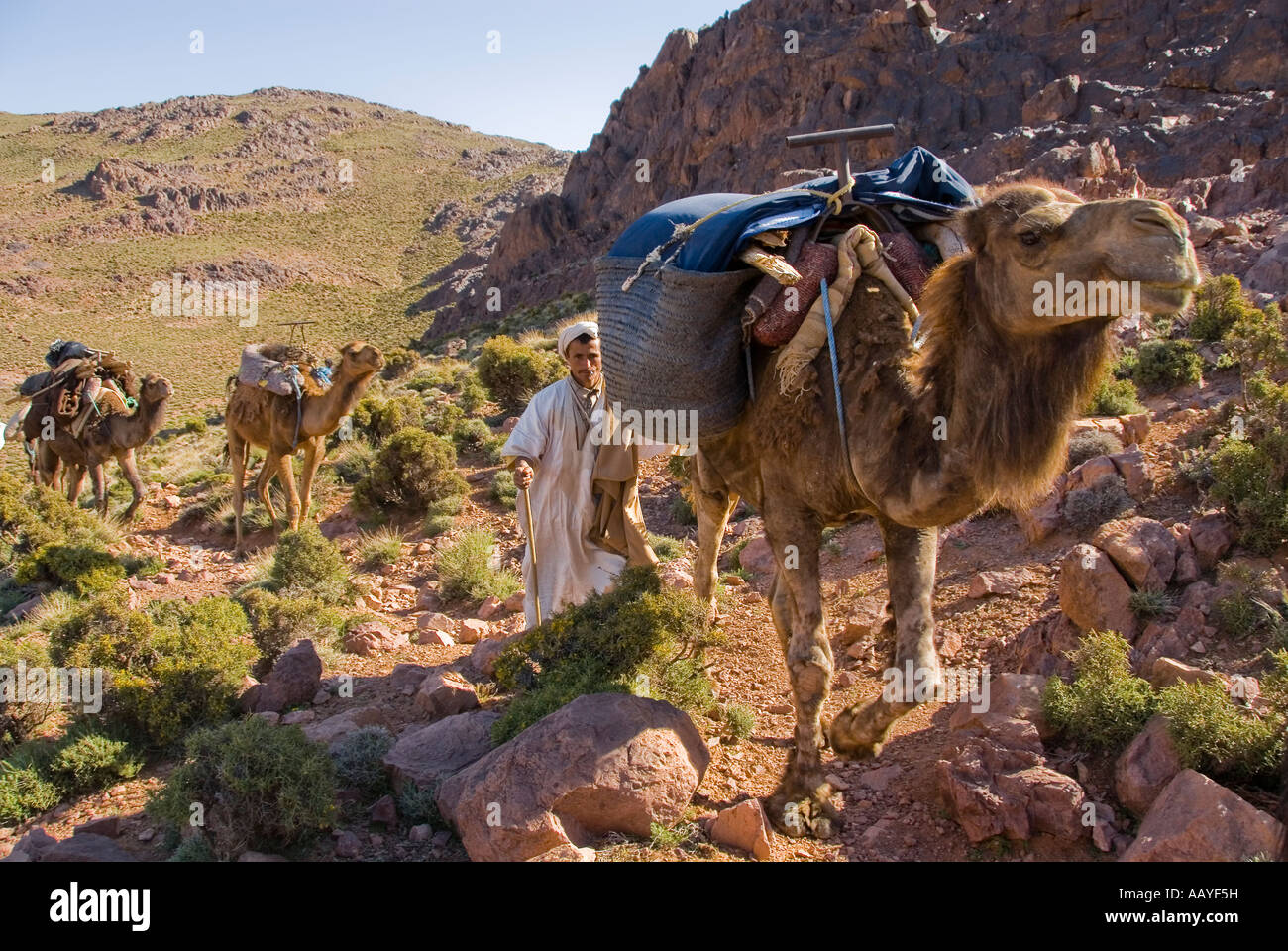 Berber ait atta tribe hi-res stock photography and images - Alamy