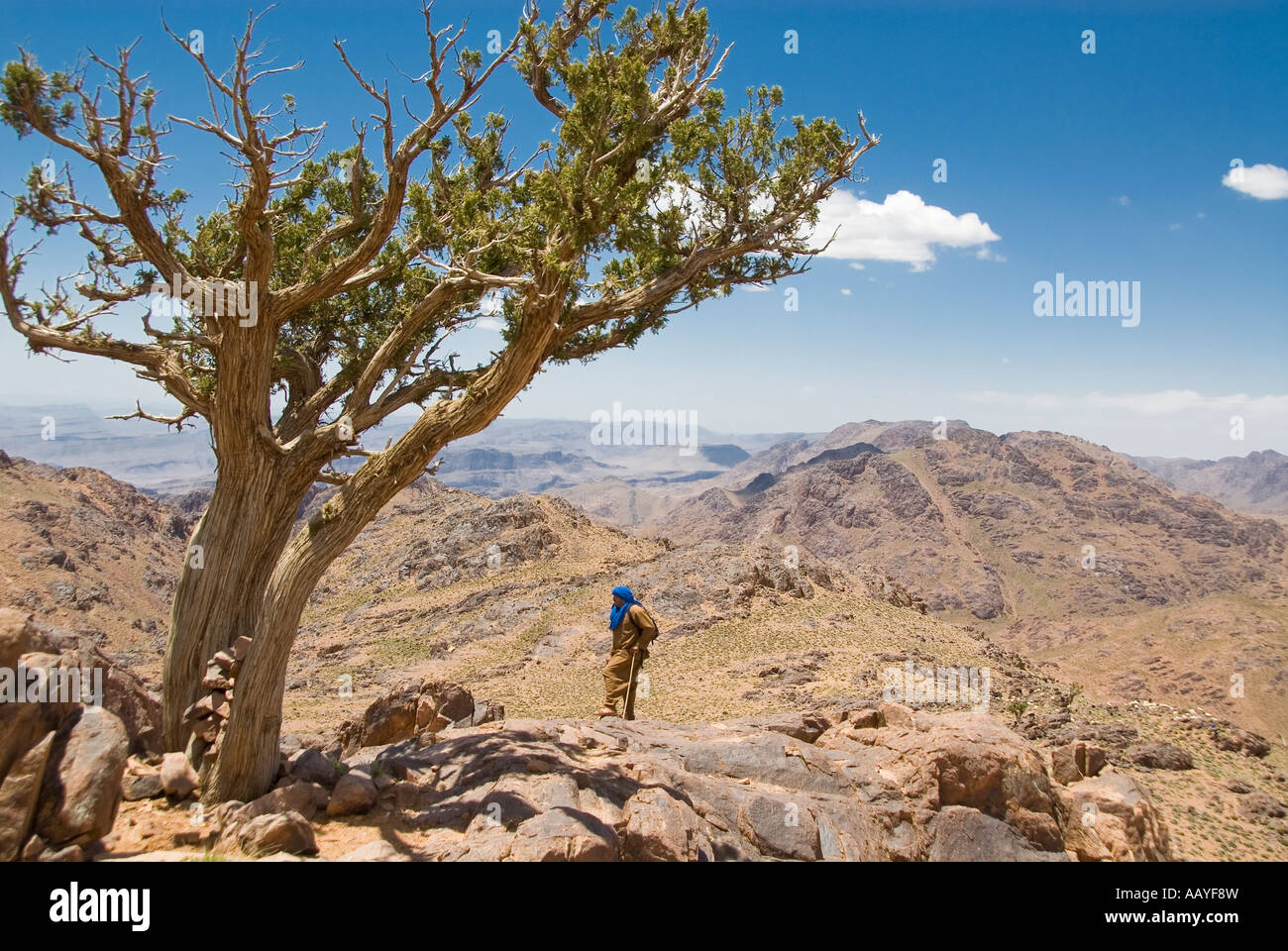 05 07 Jebel Saghro Morocco Walking with the Ait Atta nomads a Berber ...