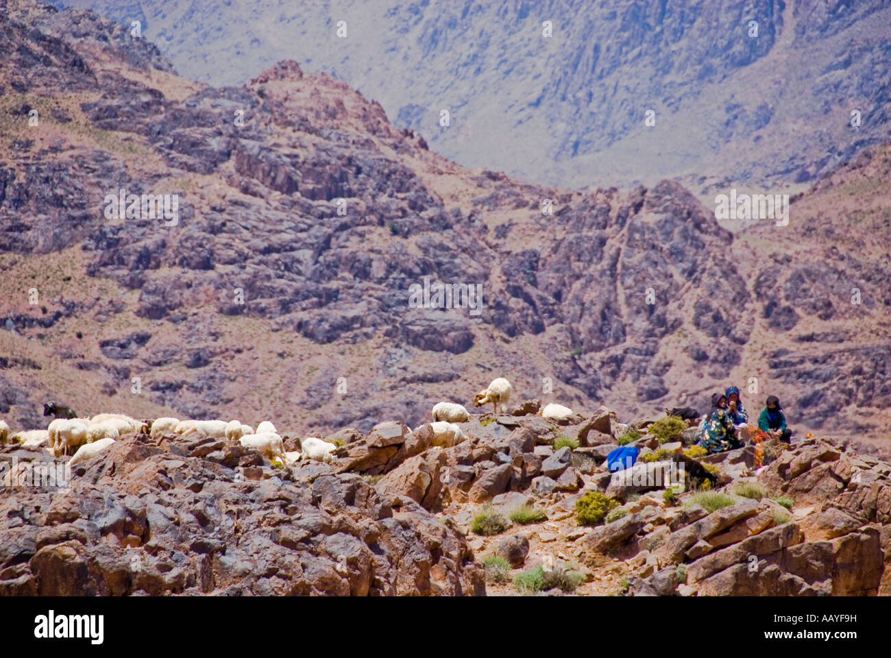 05 07 Jebel Saghro Morocco Walking with the Ait Atta nomads a Berber ...