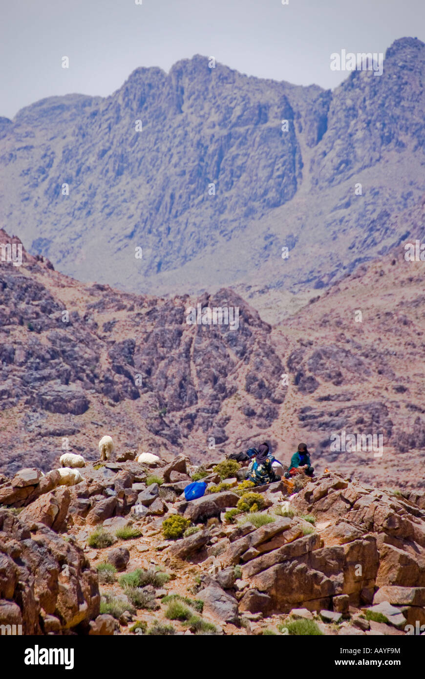 Berber Ait Atta Tribe High Resolution Stock Photography and Images - Alamy