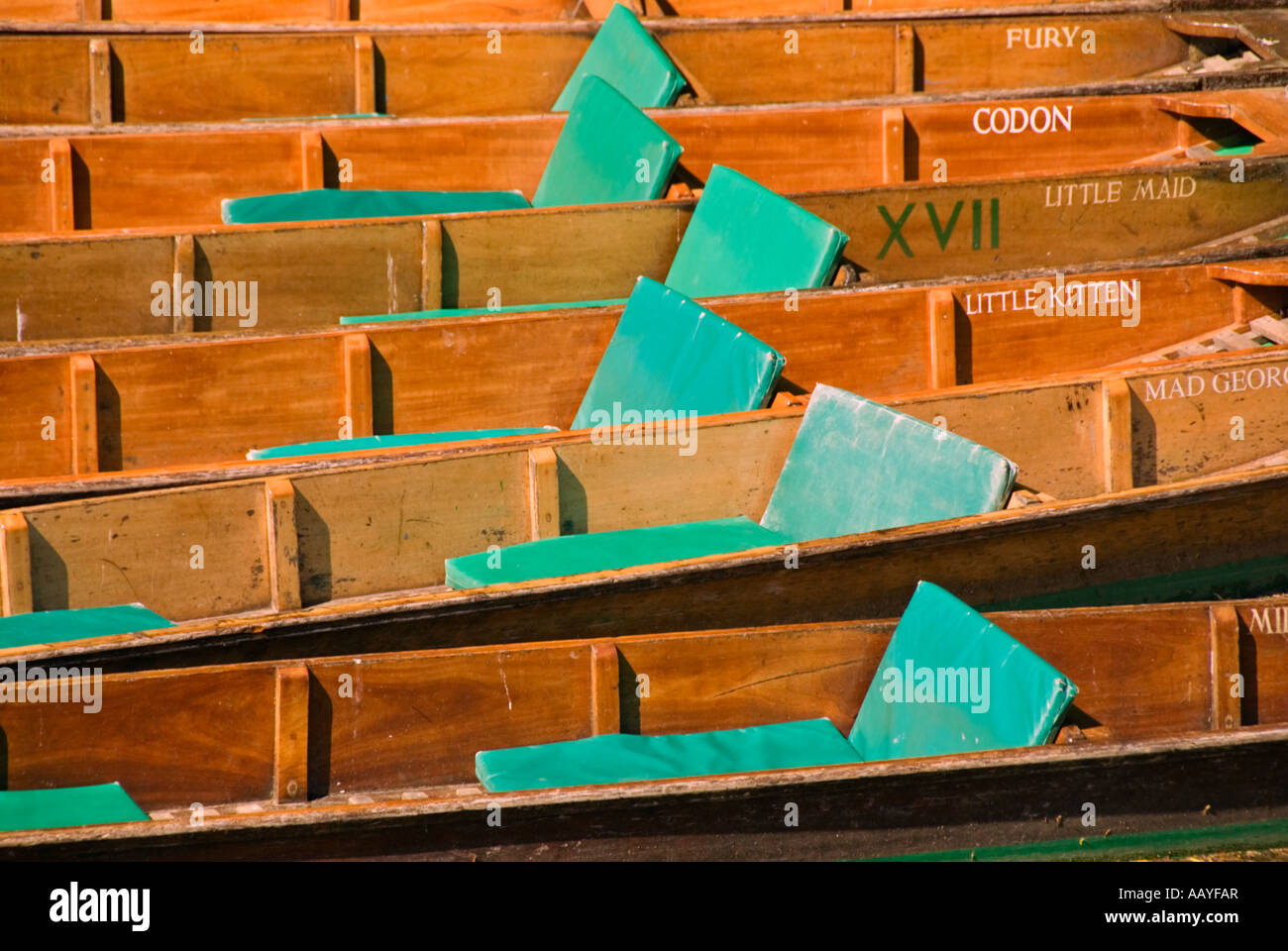 Punts on the River Cam at Cambridge Stock Photo - Alamy