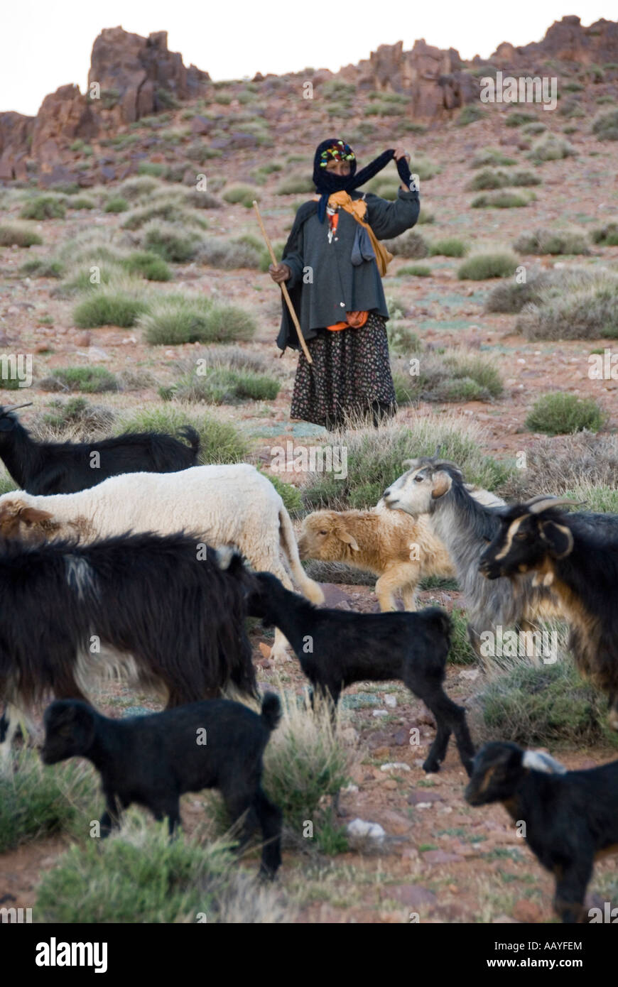 05 07 Jebel Saghro Morocco Walking with the Ait Atta nomads a Berber ...
