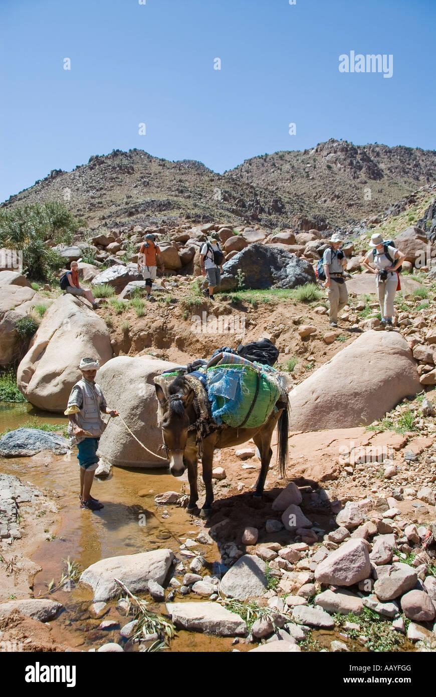 05 07 Jebel Saghro Morocco Walking with the Ait Atta nomads a Berber ...