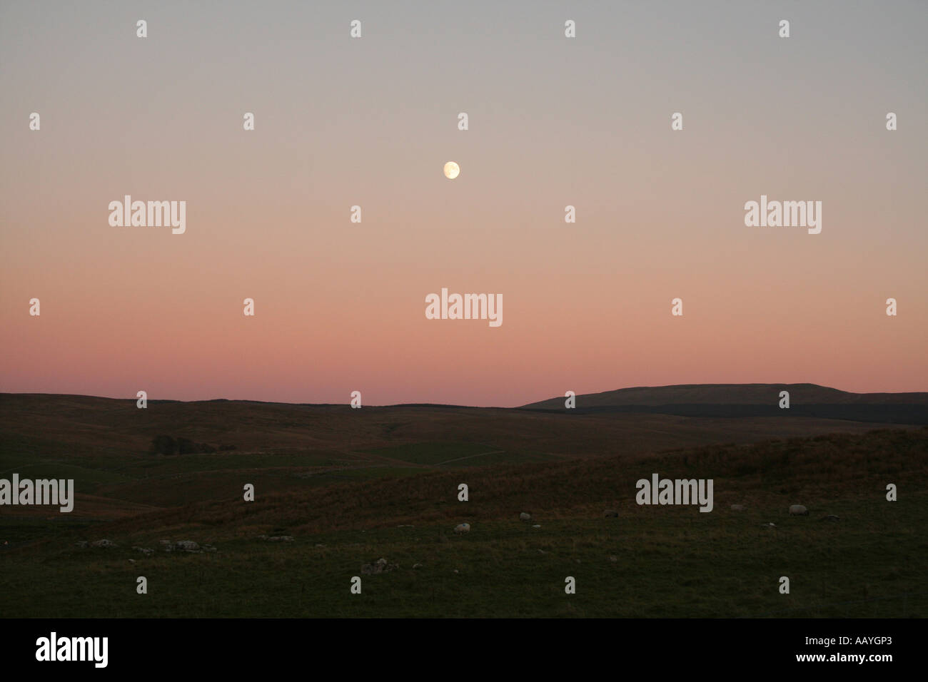 Yorkshire moors night sky hi-res stock photography and images - Alamy