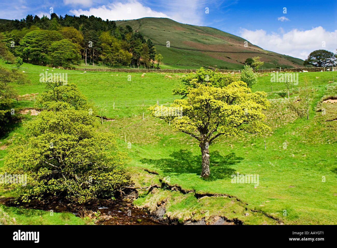 Grindsbrook Booth Near Edale The Pennine Way Footpath Towards "Kinder ...