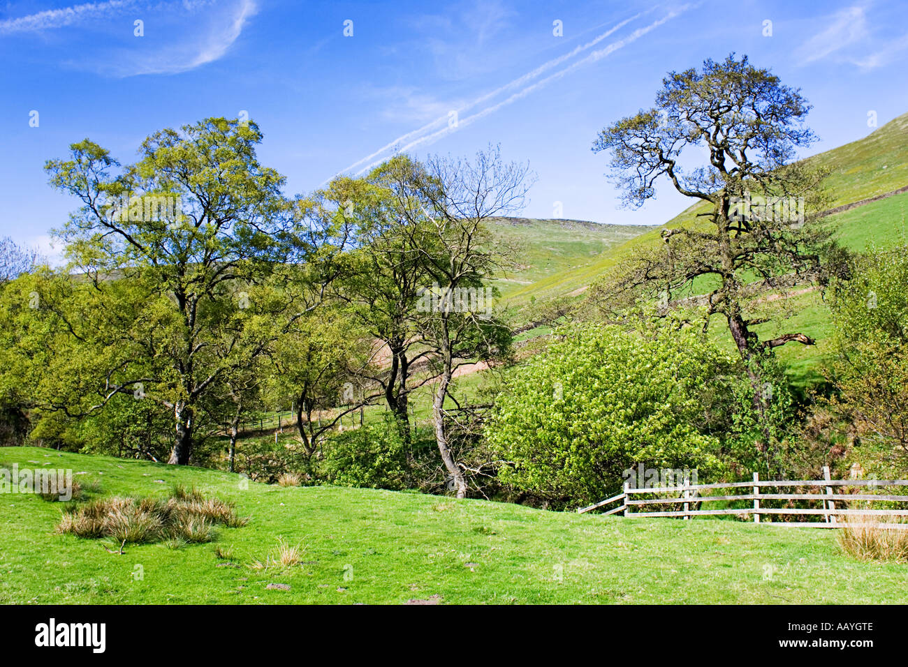 Grindsbrook Booth Near Edale The Pennine Way Footpath Towards "Kinder ...