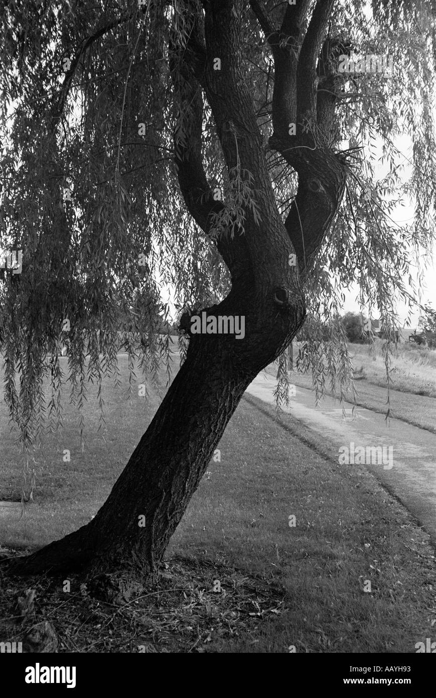 Beside empty Black and White Stock Photos & Images - Alamy
