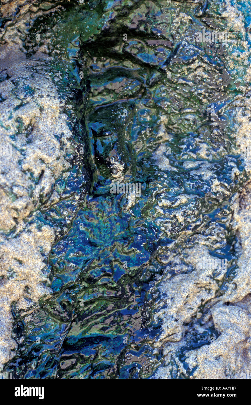 Abstract patterns on rocks in St Ives, Cornwall Stock Photo - Alamy