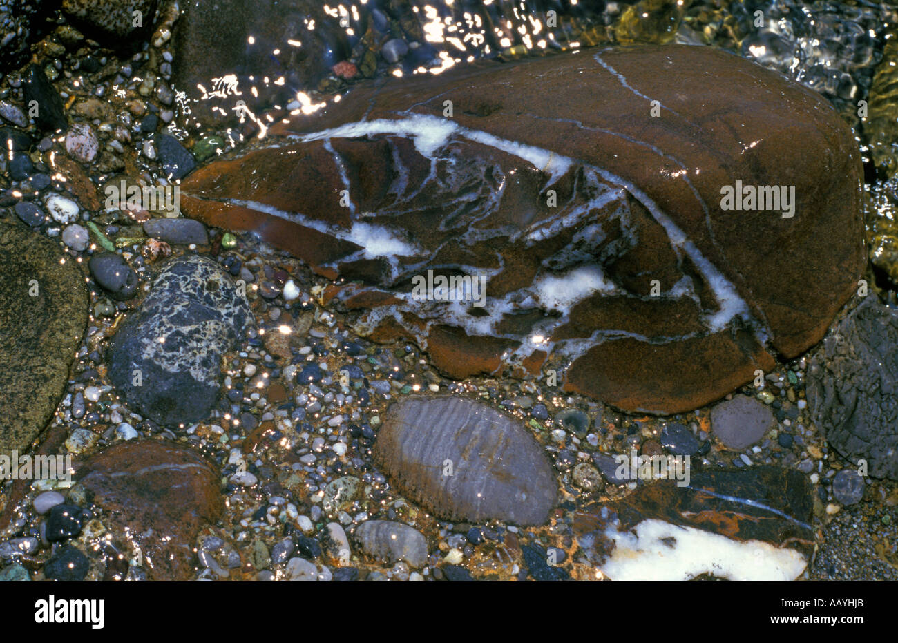 Abstract patterns on rocks in St Ives, Cornwall Stock Photo - Alamy