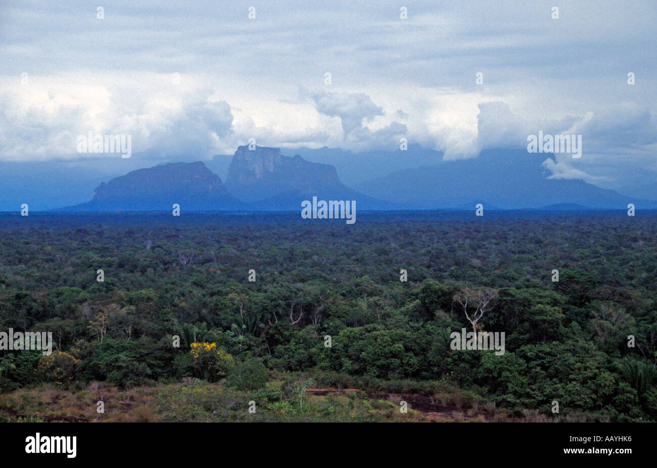 Ayacucho venezuela hi-res stock photography and images - Alamy