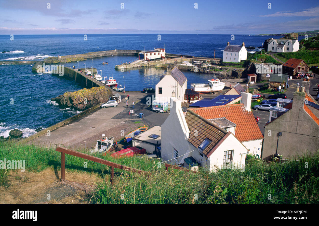 Britains coastline the small scenic fishing port of St Abbs on the ...