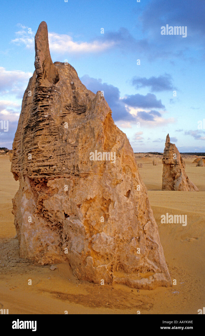 Australia shells seashells hi-res stock photography and images - Alamy