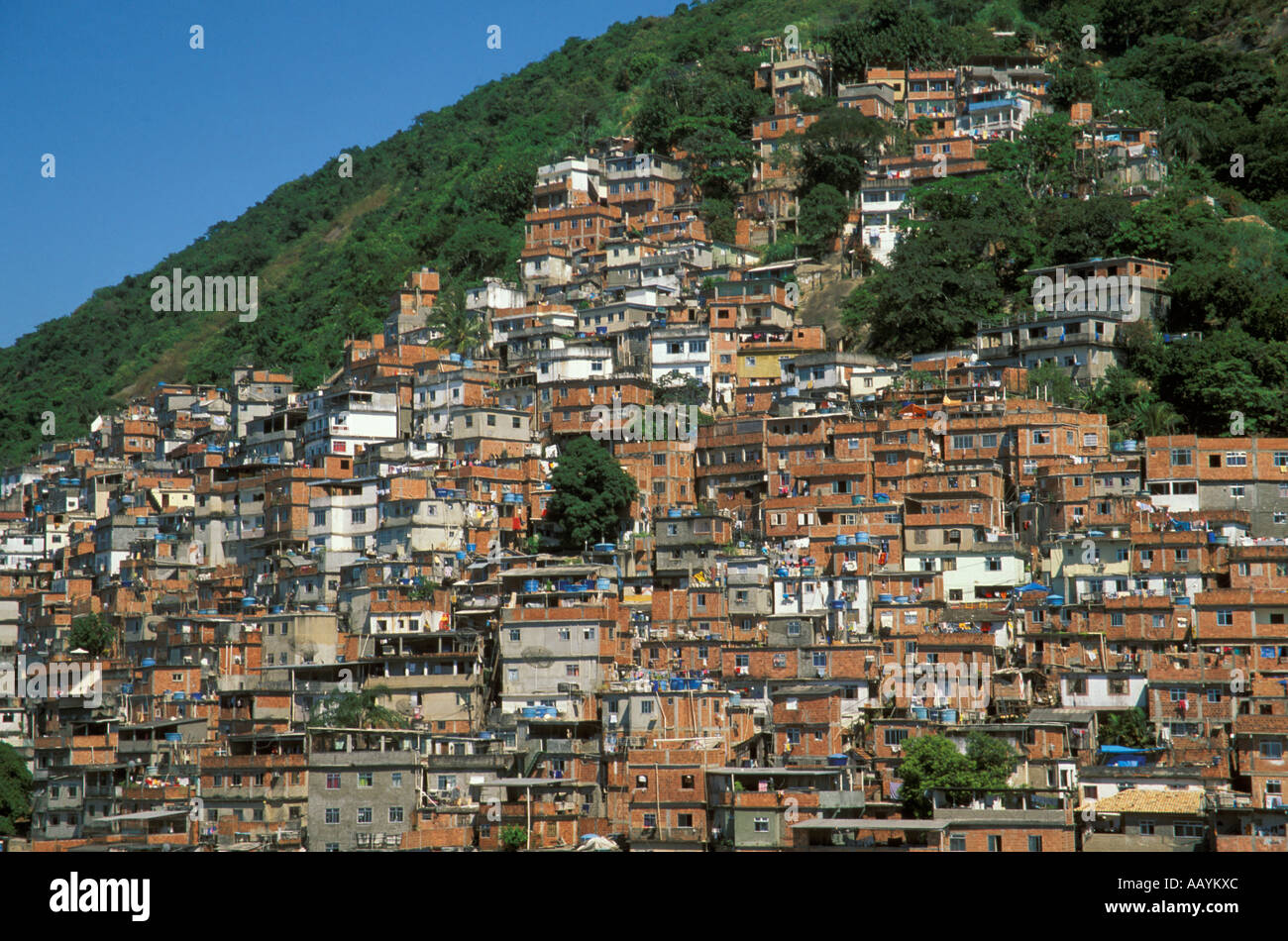 Slum called favela in Brazil on Morro do Pavao hill near Copacabana ...