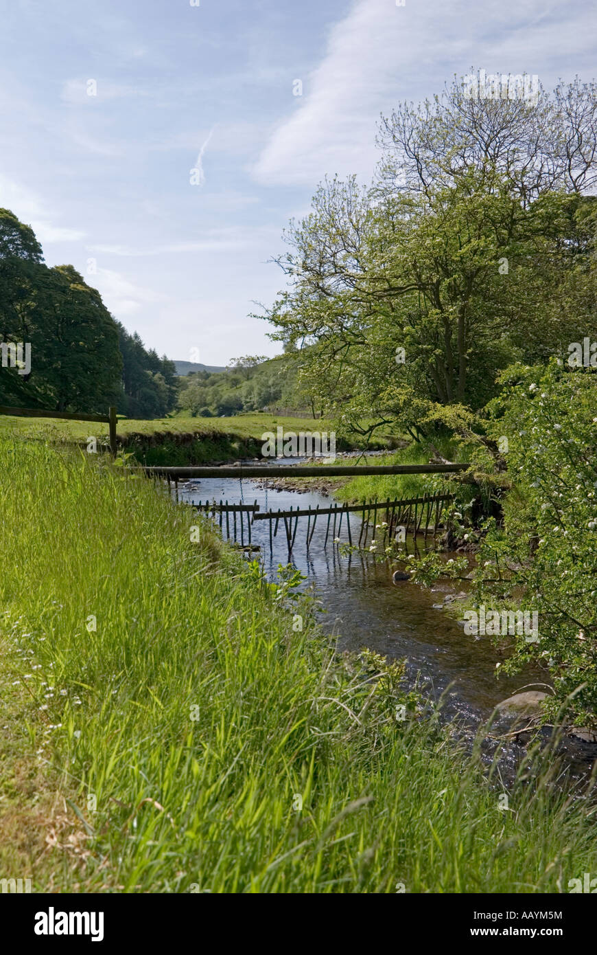 Clough Brook in Wildboarclough Stock Photo - Alamy