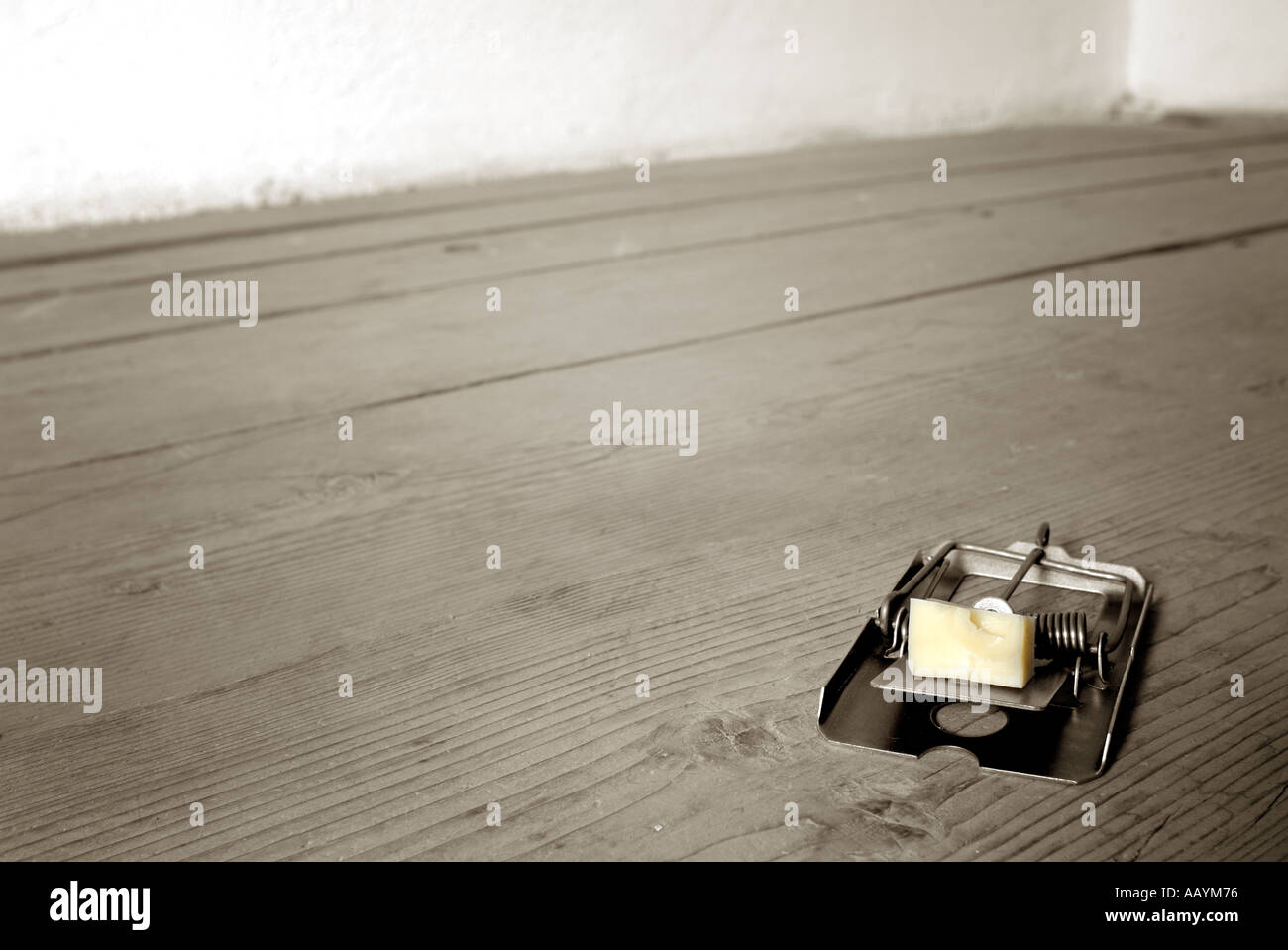 Mono trap hi-res stock photography and images - Alamy