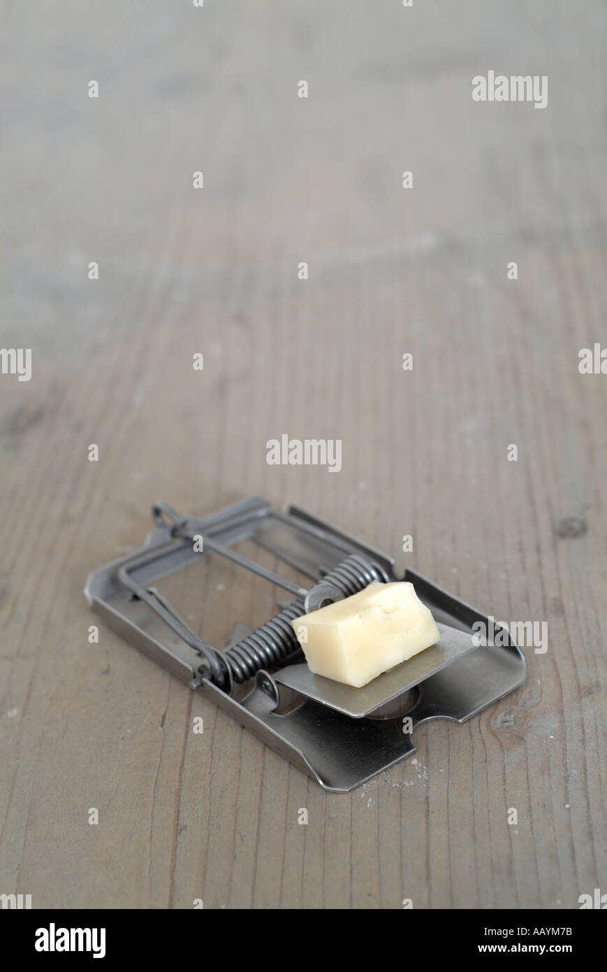 Baited mousetrap hi-res stock photography and images - Alamy