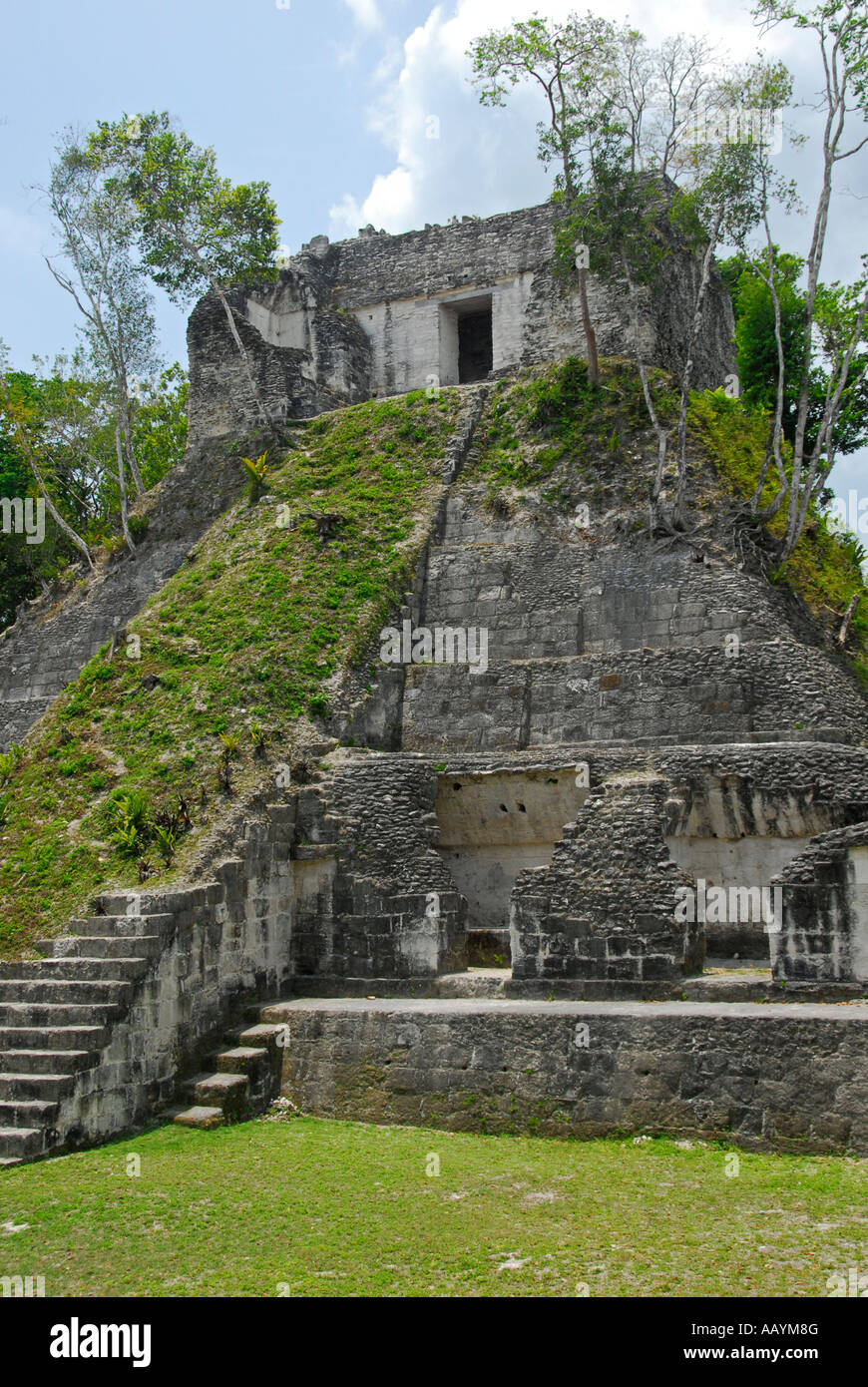 Temple E, Ruins of Nakum, Peten, Guatemala, Central America Stock Photo ...