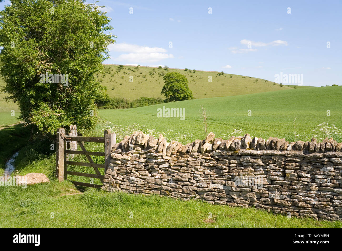 Cotswolds Dry Stone Wall High Resolution Stock Photography and Images ...