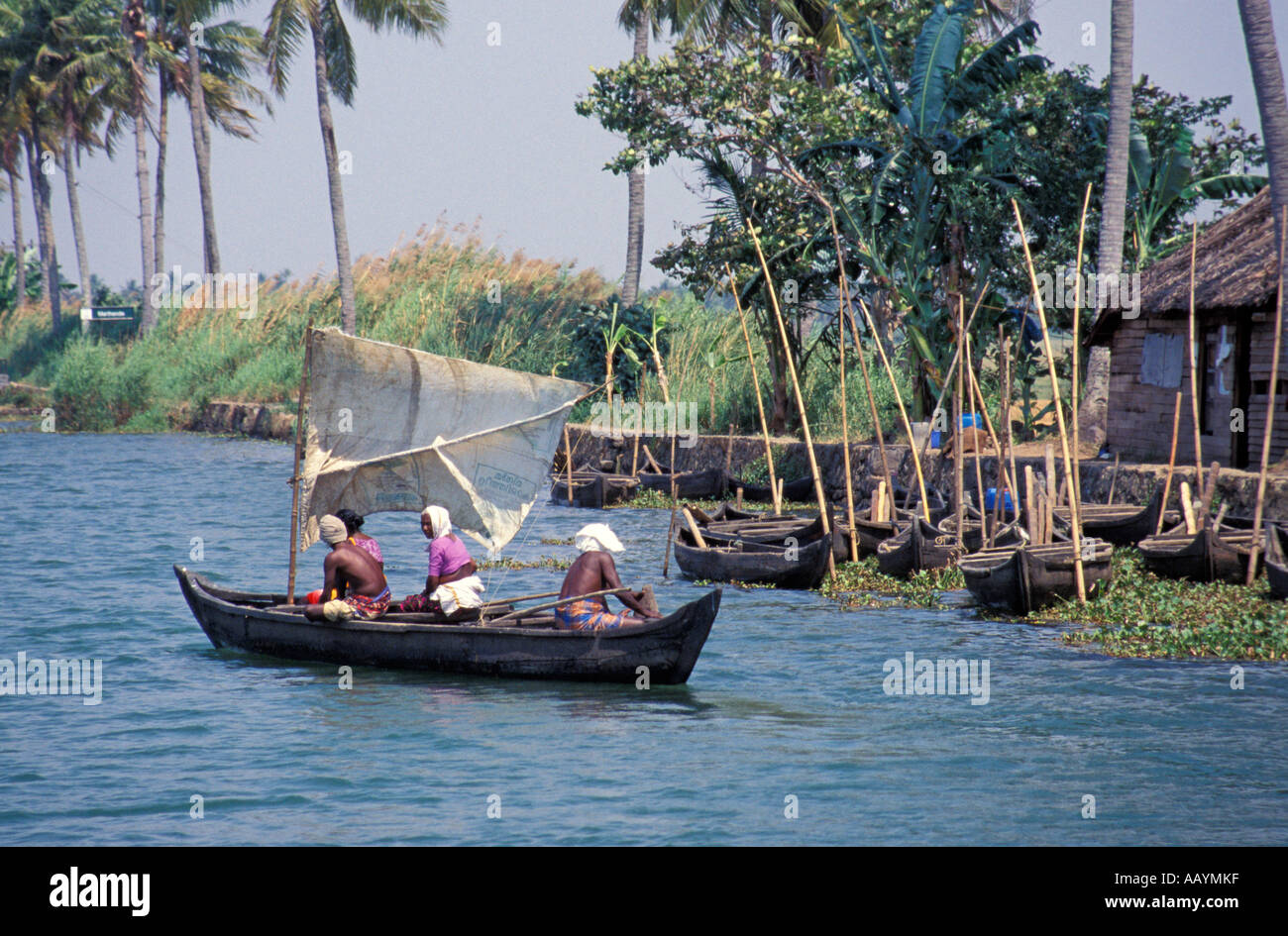 Kerala Backwaters, India Stock Photo - Alamy