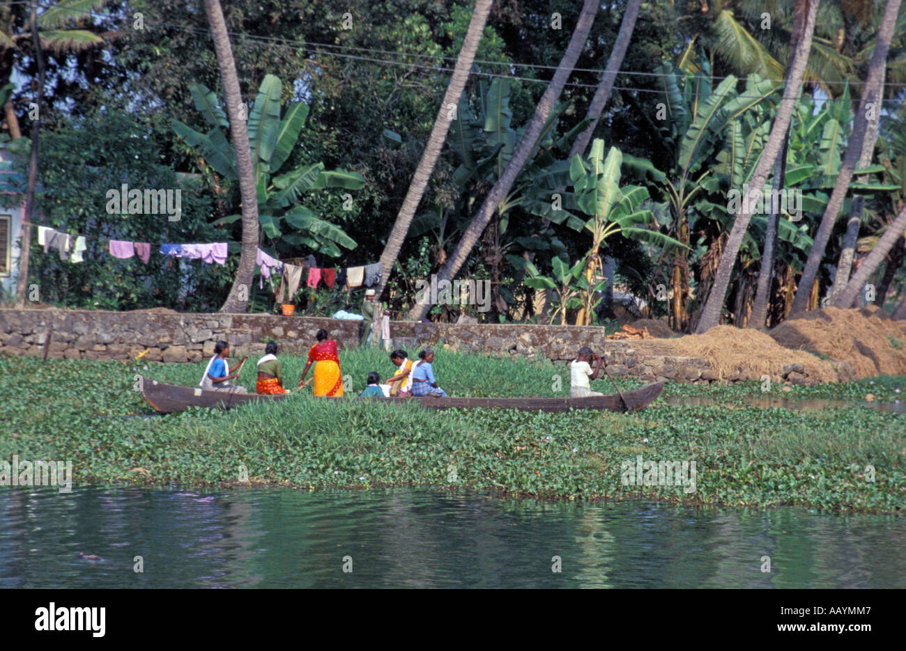 Kerala Backwaters, India Stock Photo - Alamy