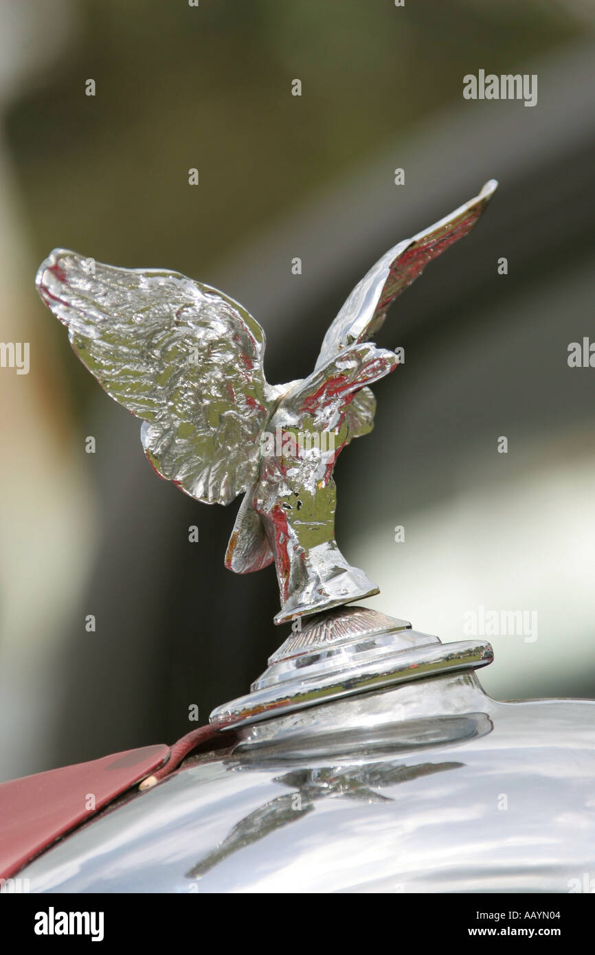 Classic car logo South Wales UK 2005 Stock Photo - Alamy