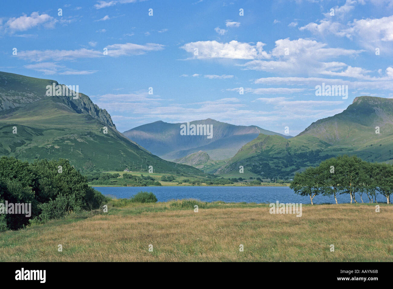 Snowdon in summer viewed across Llyn Nantlle Uchaf North Wales JMH0768 ...