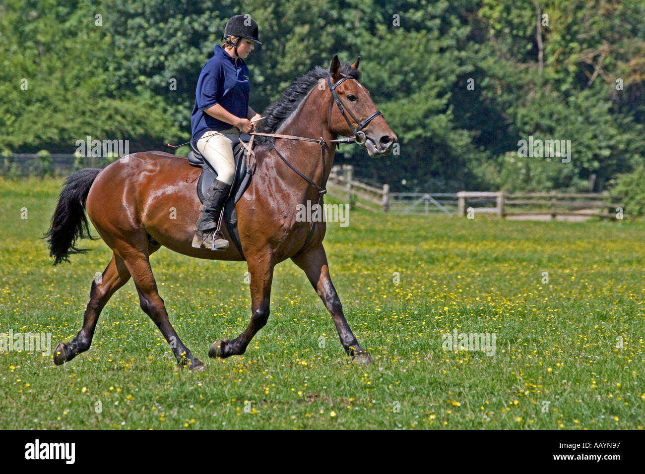 Rider on hi-res stock photography and images - Alamy