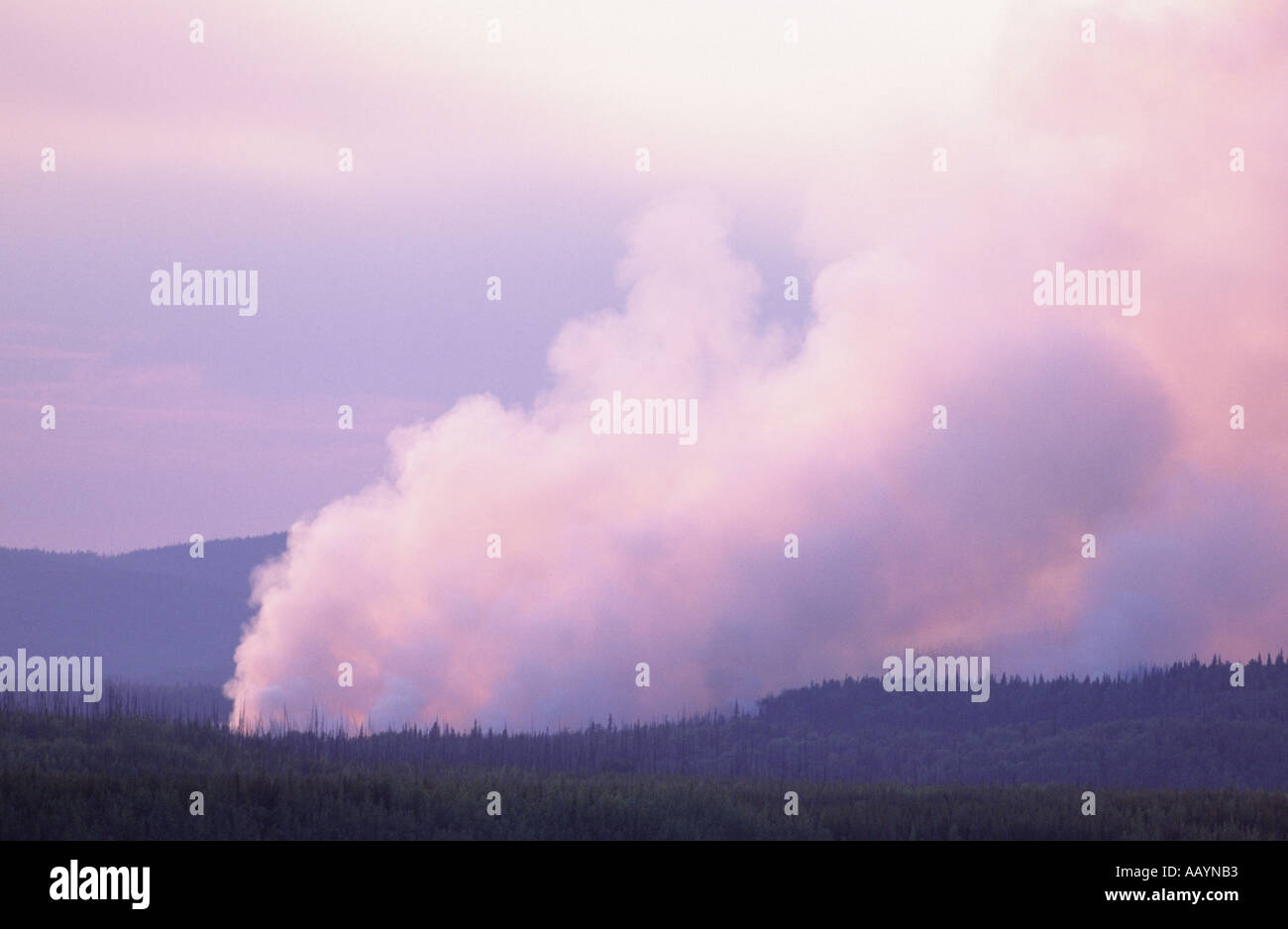 Northern canada forest fire hi-res stock photography and images - Alamy