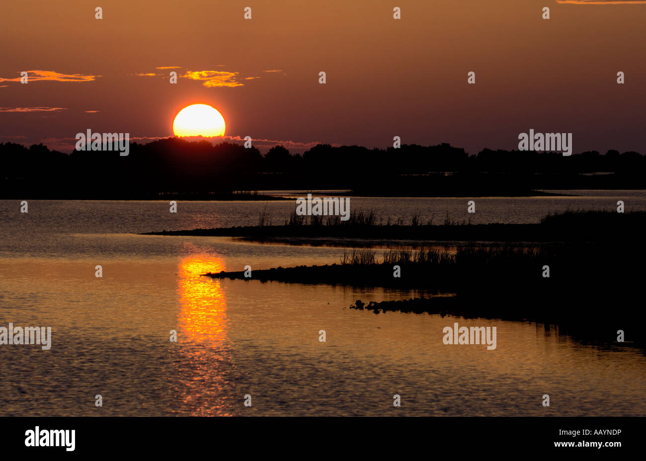 Sunset at Cedar Key Florida Stock Photo - Alamy