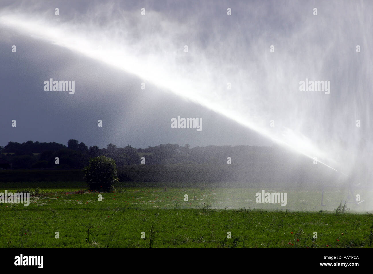 irrigation system watering crops in Worcestershire UK Spring 2005 ...