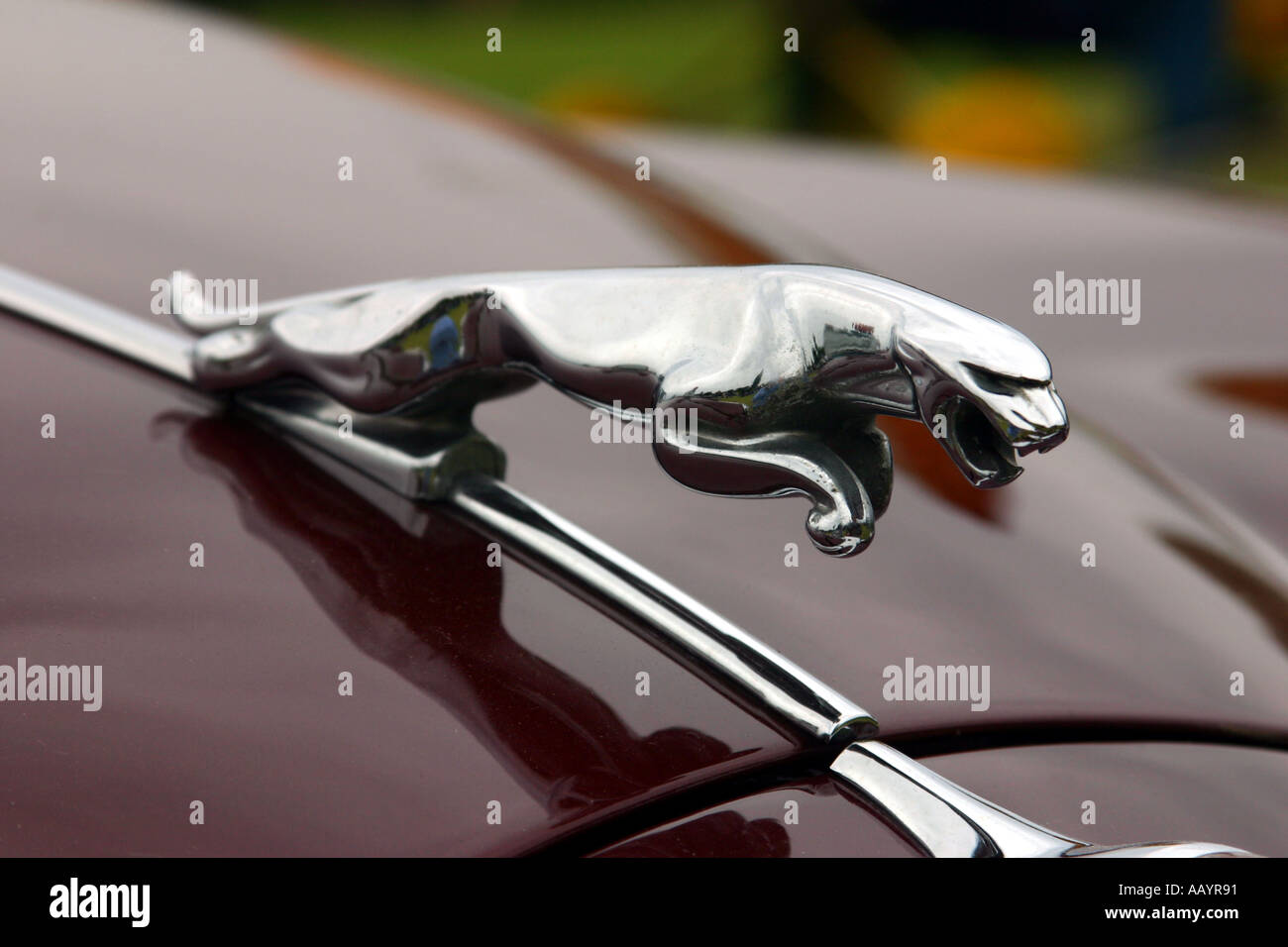 Leaping Jaguar Logo Cropped Leaping Jaguar Sq.png | Classic Jaguar
