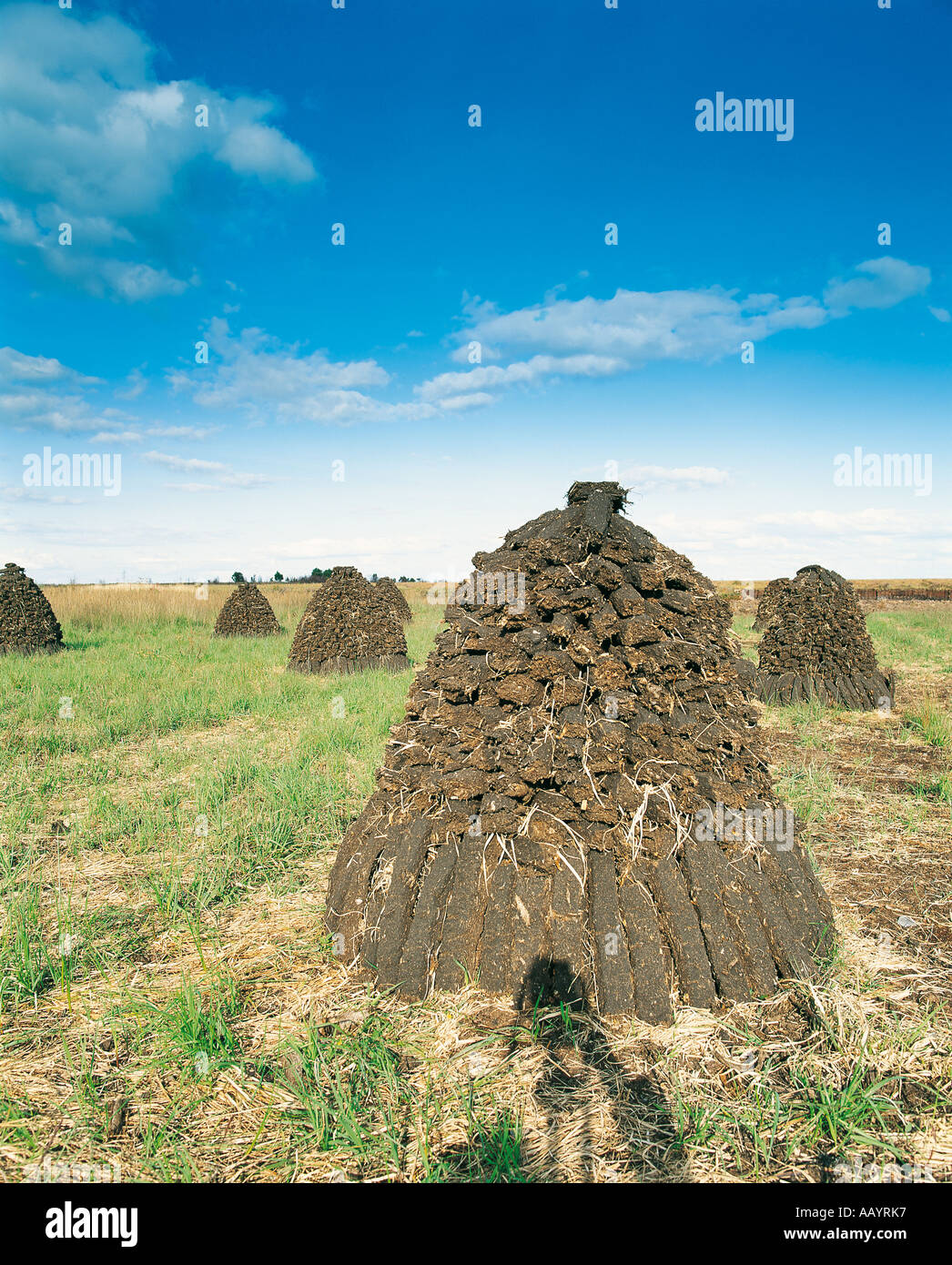 conical shaped pile of peat during harvest time Stock Photo - Alamy