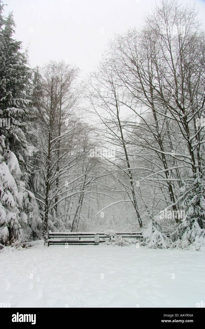 Snowy Landscape Scene Stock Photo - Alamy