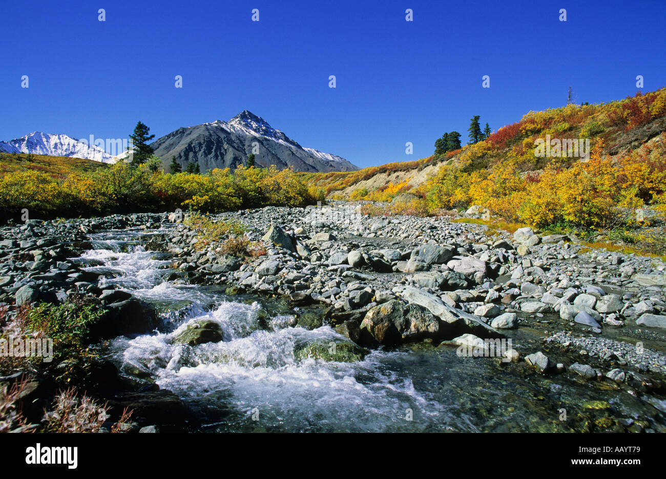 Tundra in fall colours hi-res stock photography and images - Alamy