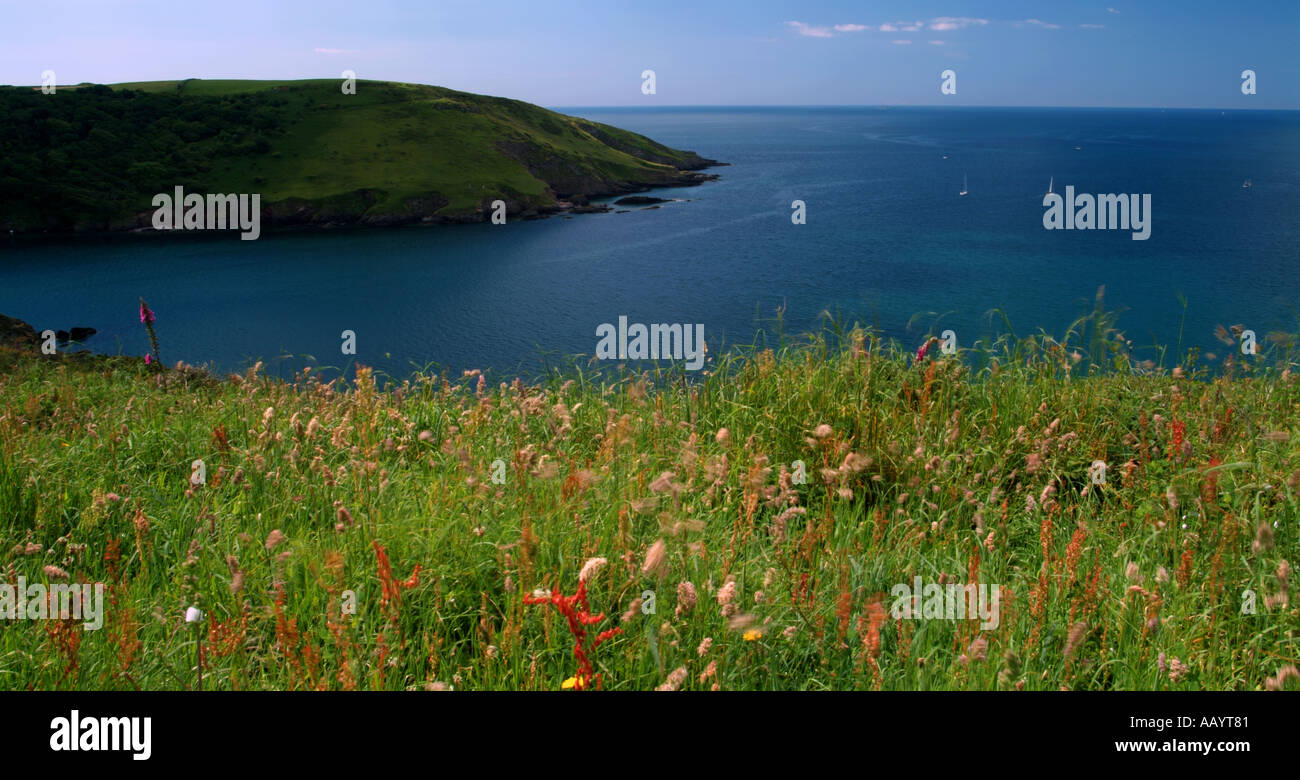 Overlooking Mouth Estuary High Resolution Stock Photography and Images ...