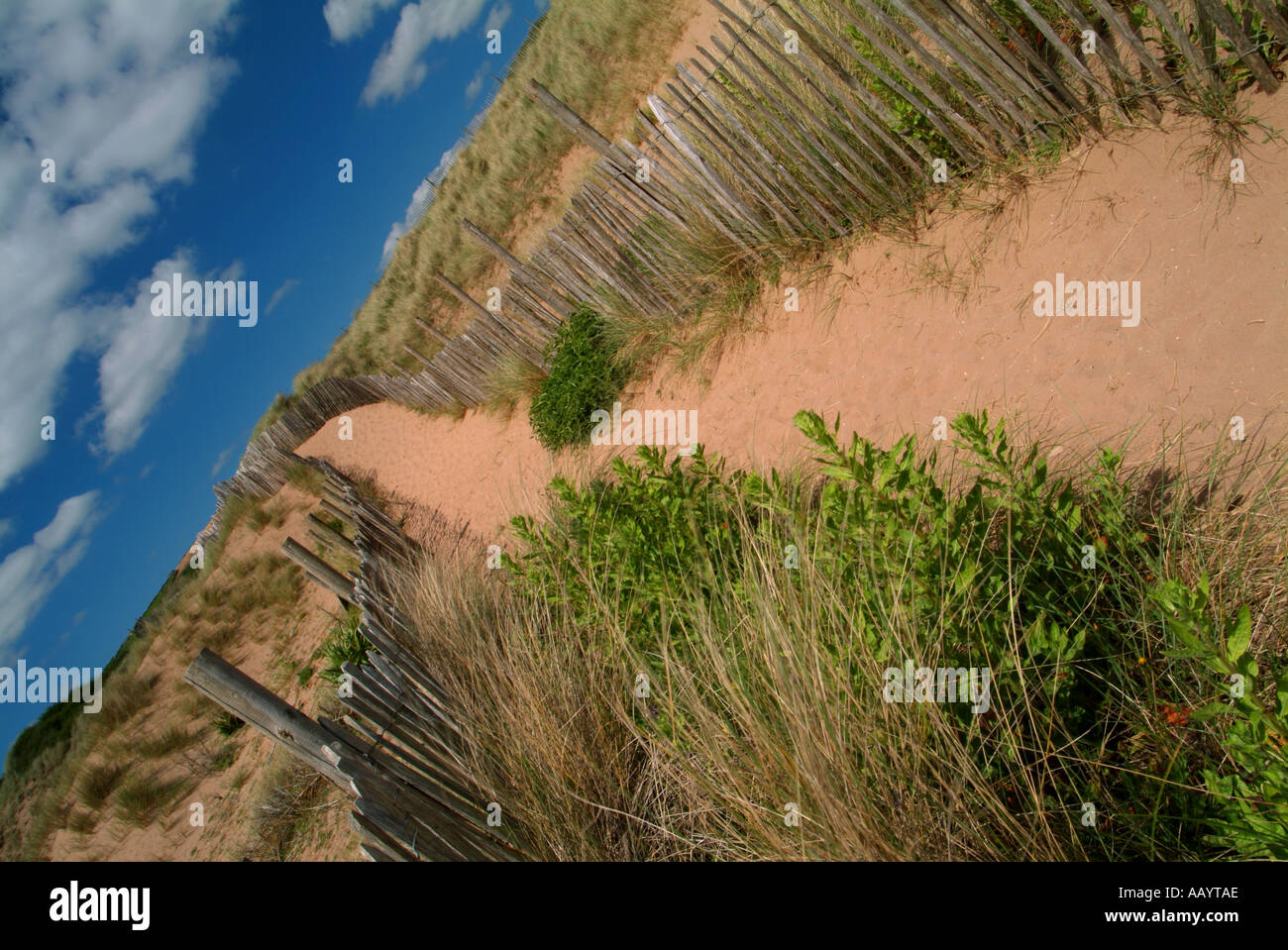 Pathway angled hi-res stock photography and images - Alamy