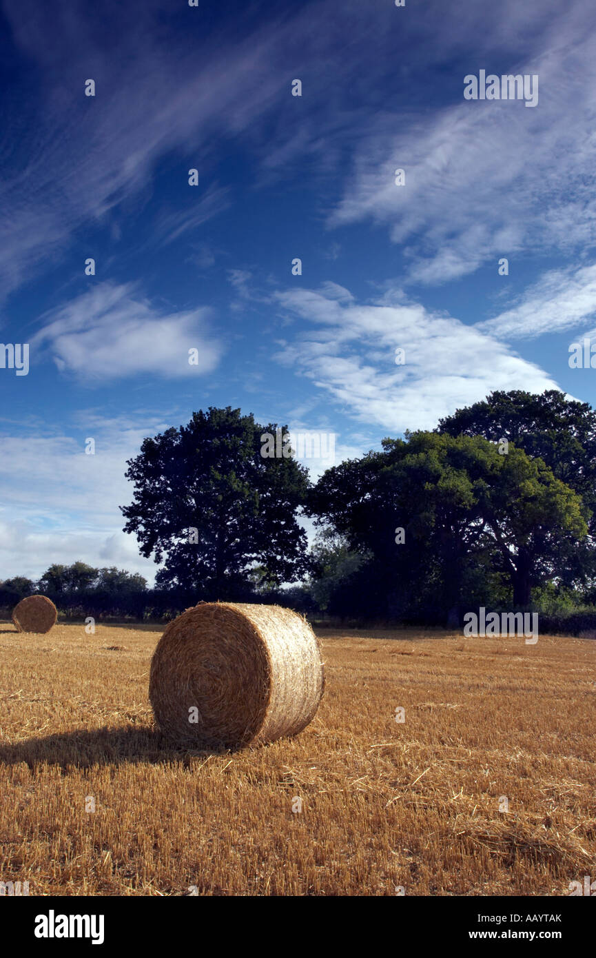 Straw bale agriculture farming hi-res stock photography and images - Alamy