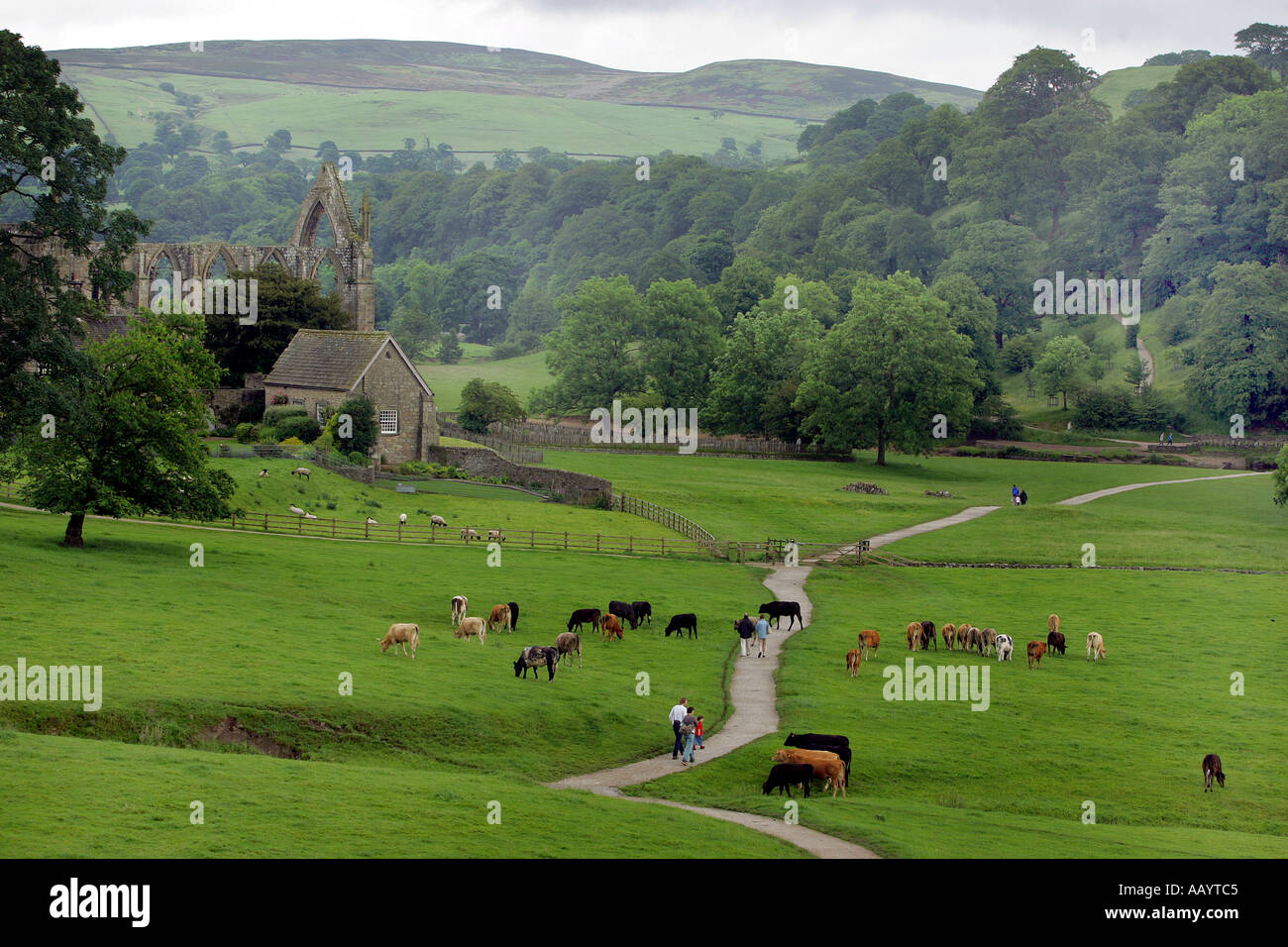 Dales way path bolton abbey hi-res stock photography and images - Alamy