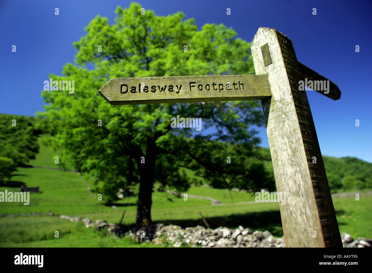Walking the Yorkshire Dales Way Stock Photo - Alamy
