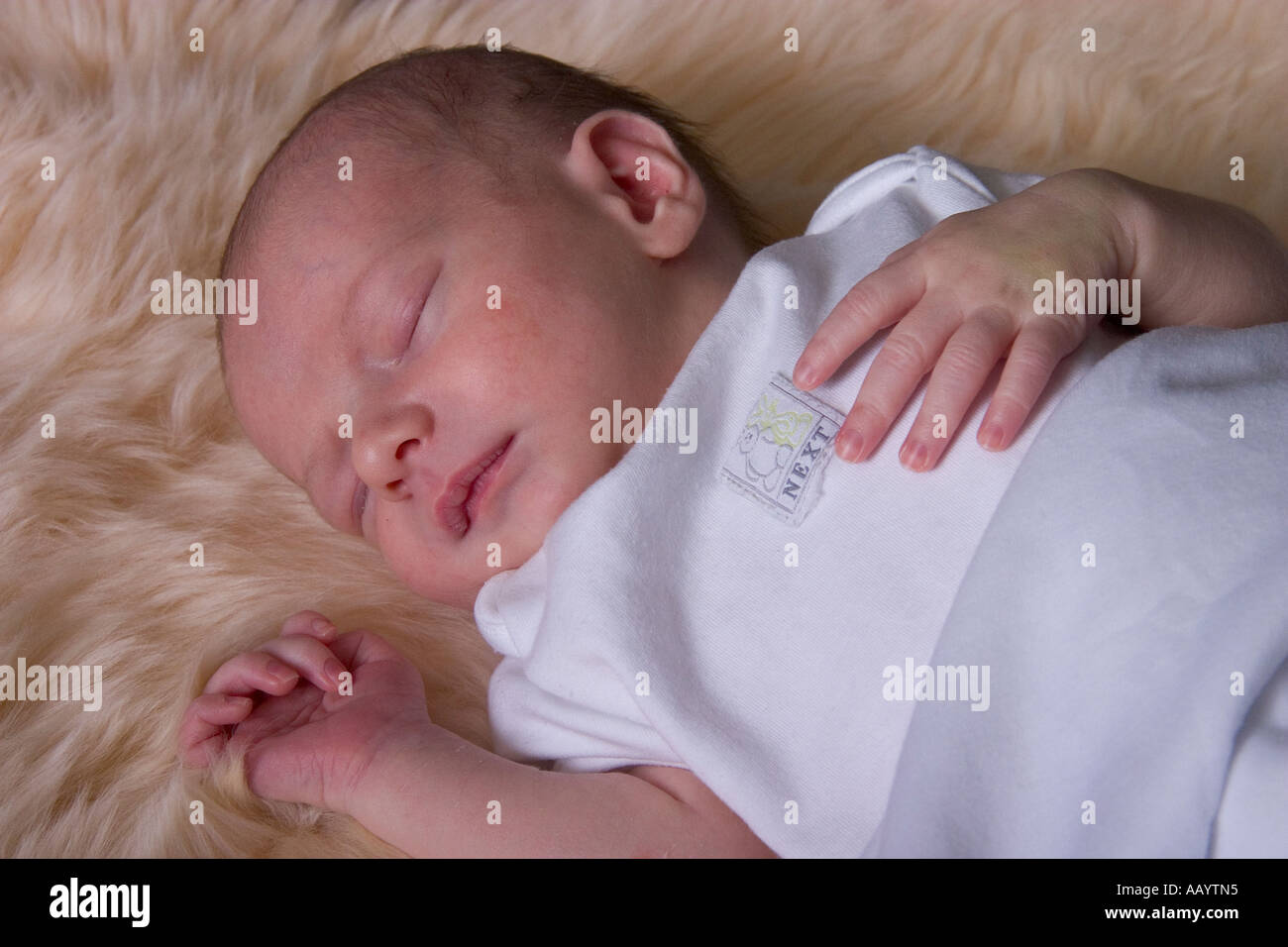 Sleeping New Born Baby Stock Photo - Alamy
