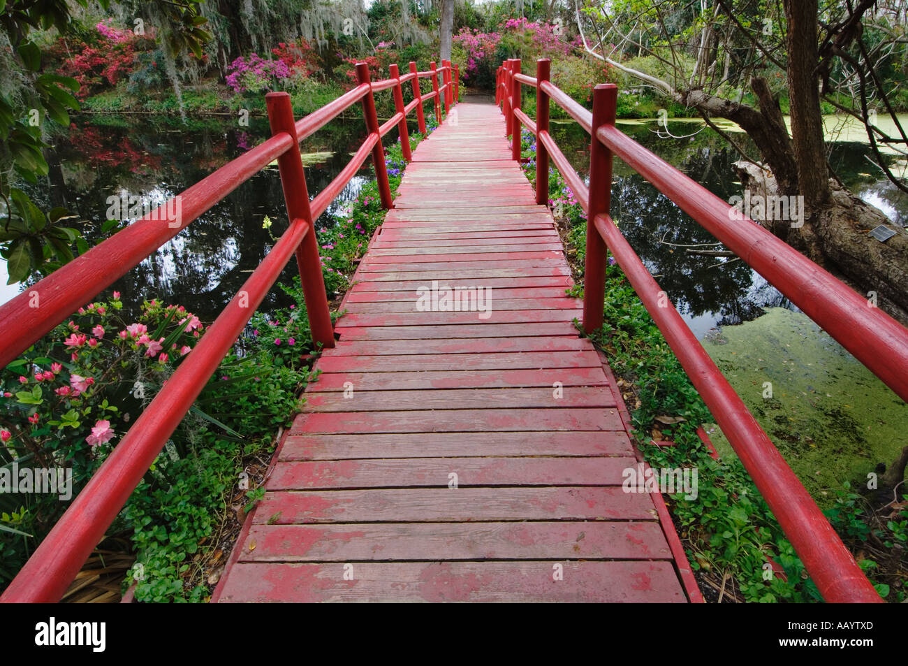 Red Foot Bridge Crossing Pond In Spring Garden Magnolia Plantation Near ...