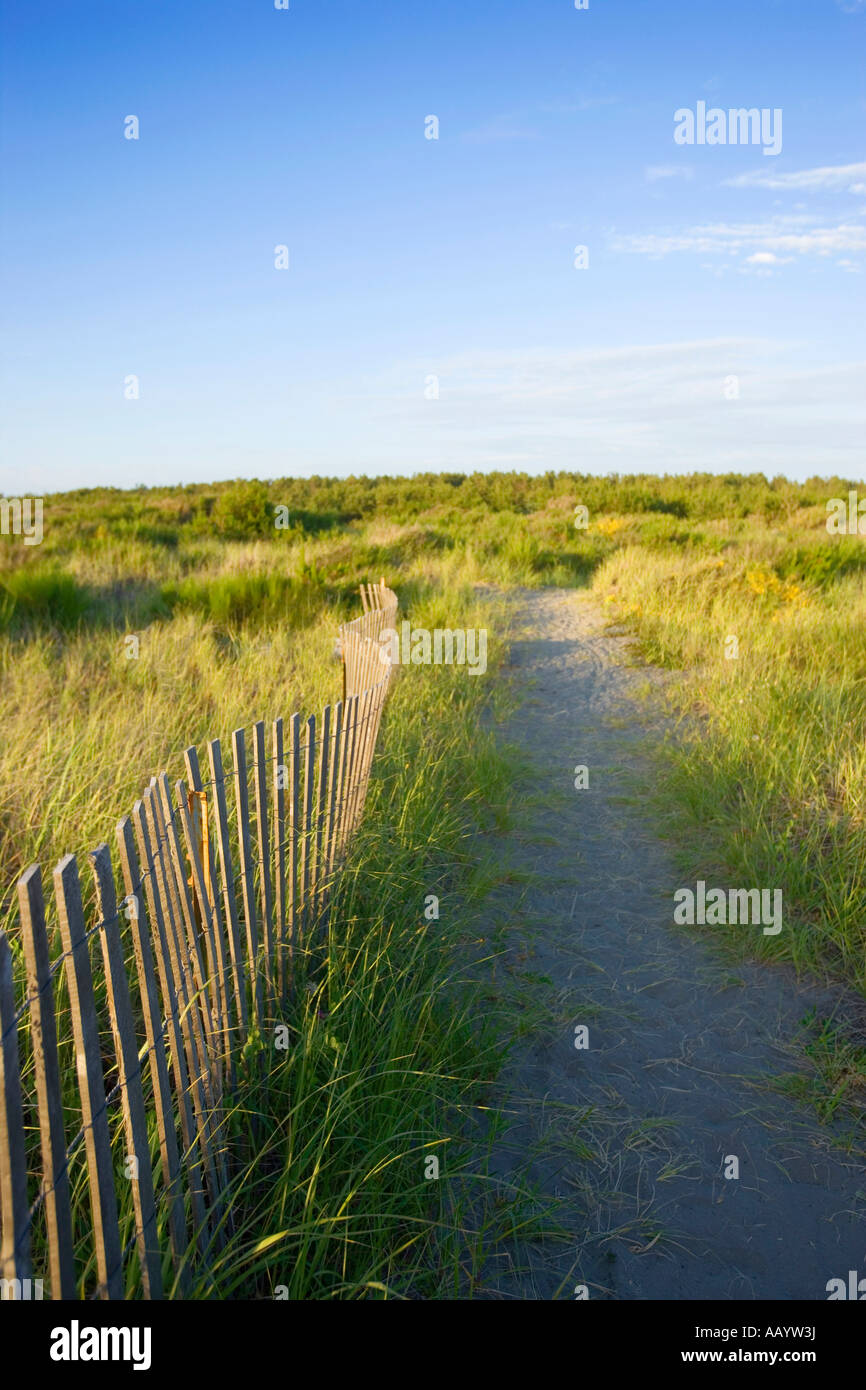 Beach path seeming to lead to no where Stock Photo - Alamy