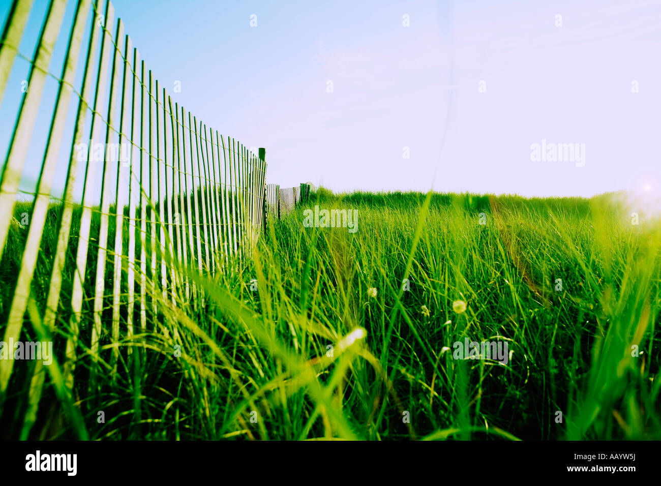 Fence in field of grass Stock Photo - Alamy
