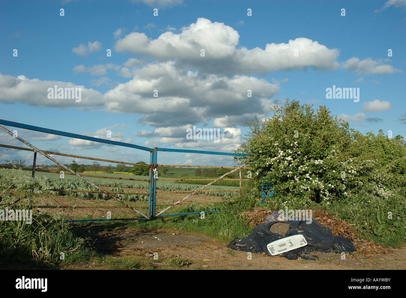 fly tipping in rural Leicestershire, England, UK Stock Photo - Alamy
