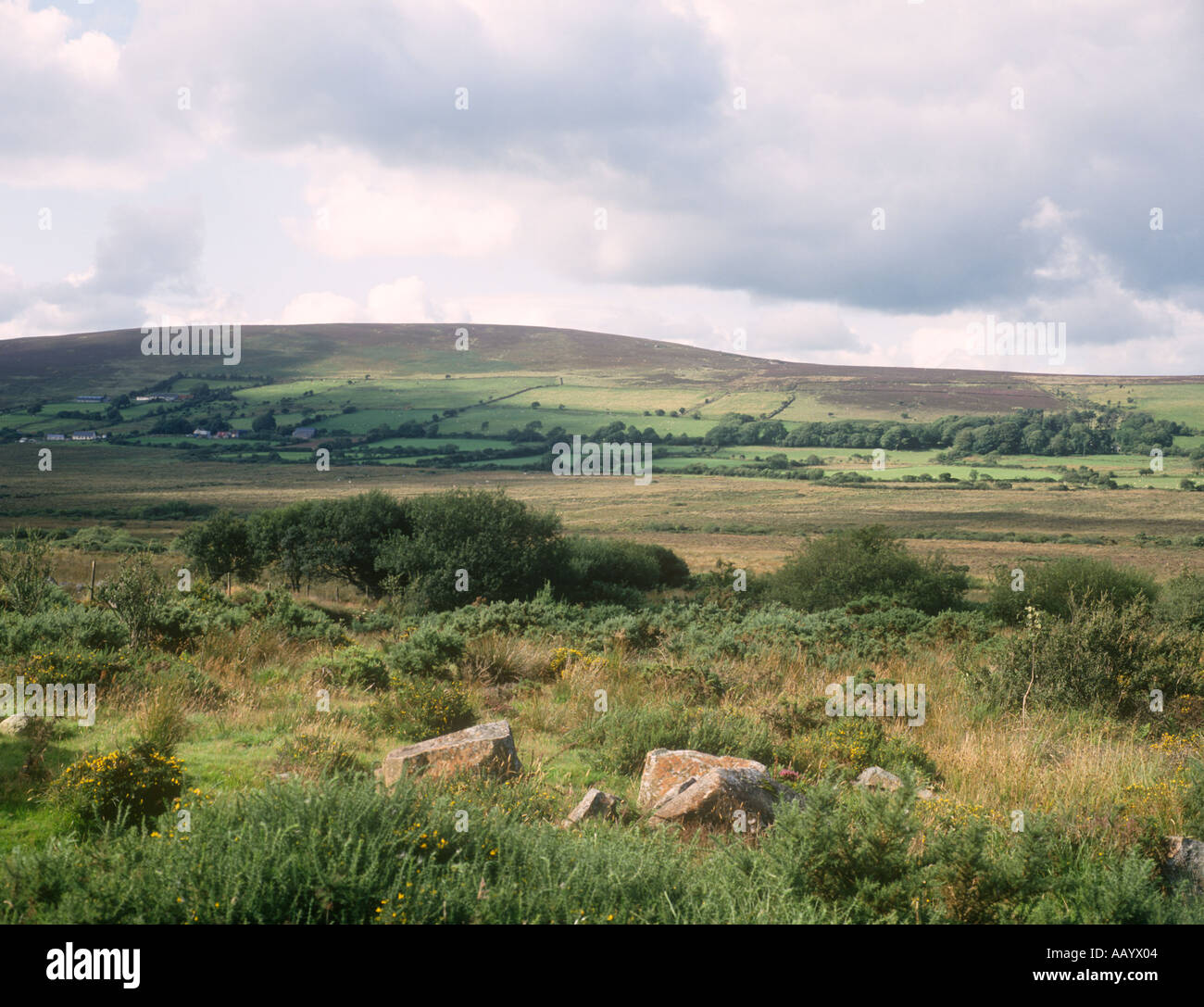Landscape Preseli Mountains Pembrokeshire West Wales Stock Photo - Alamy