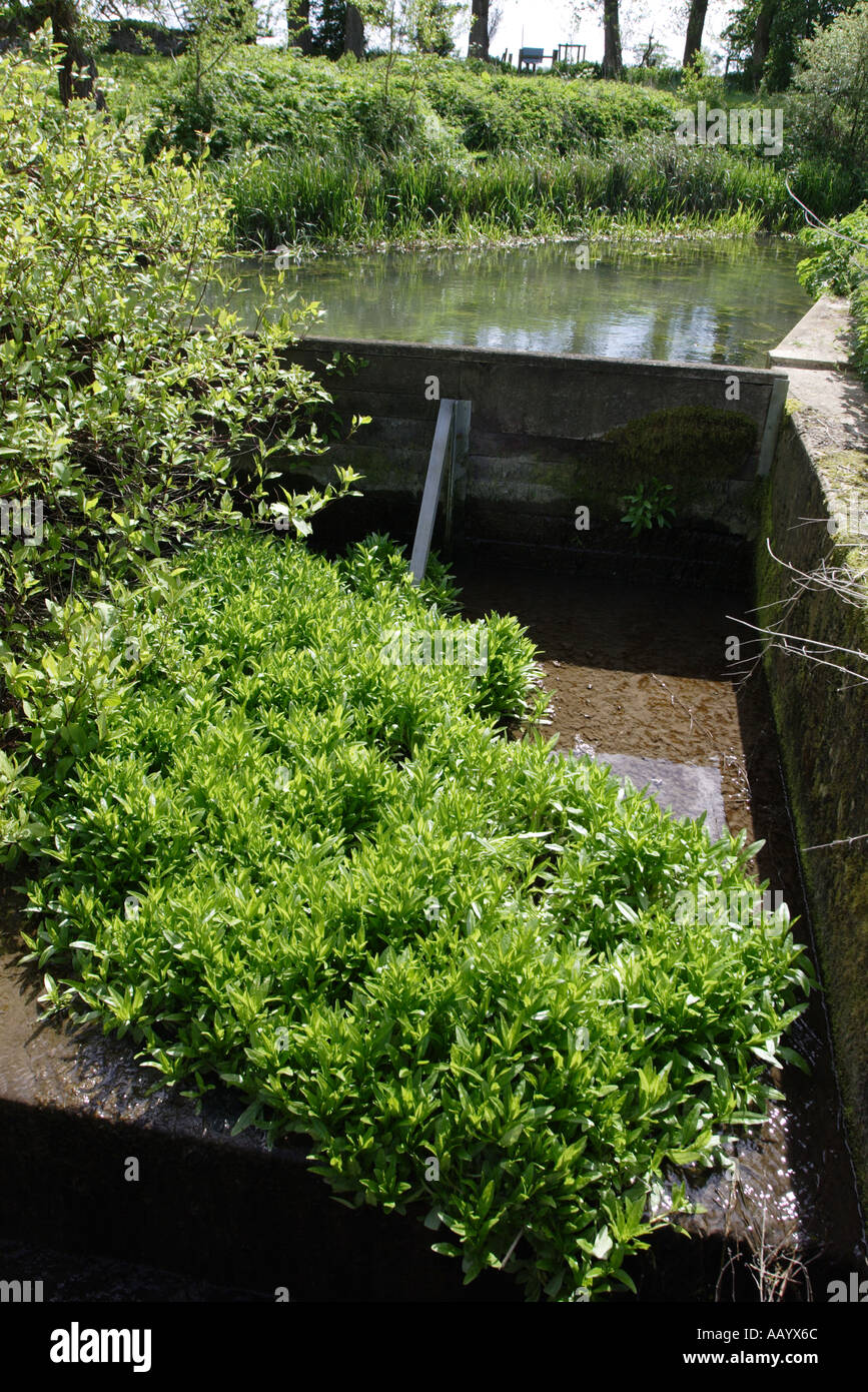 Sluice gate mill england hi-res stock photography and images - Alamy