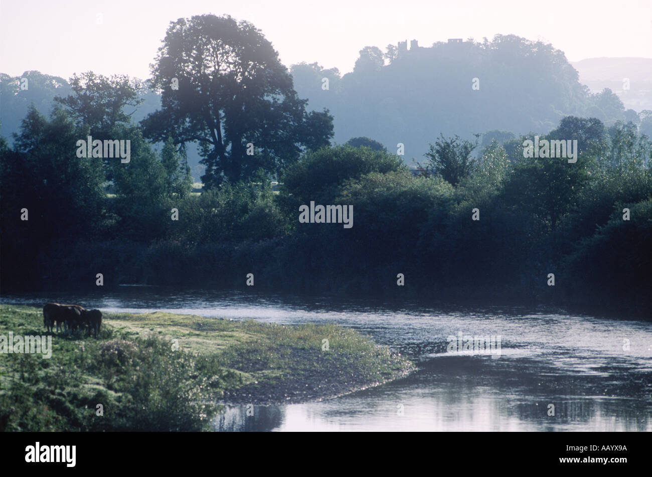 View from dinefwr castle hi-res stock photography and images - Alamy