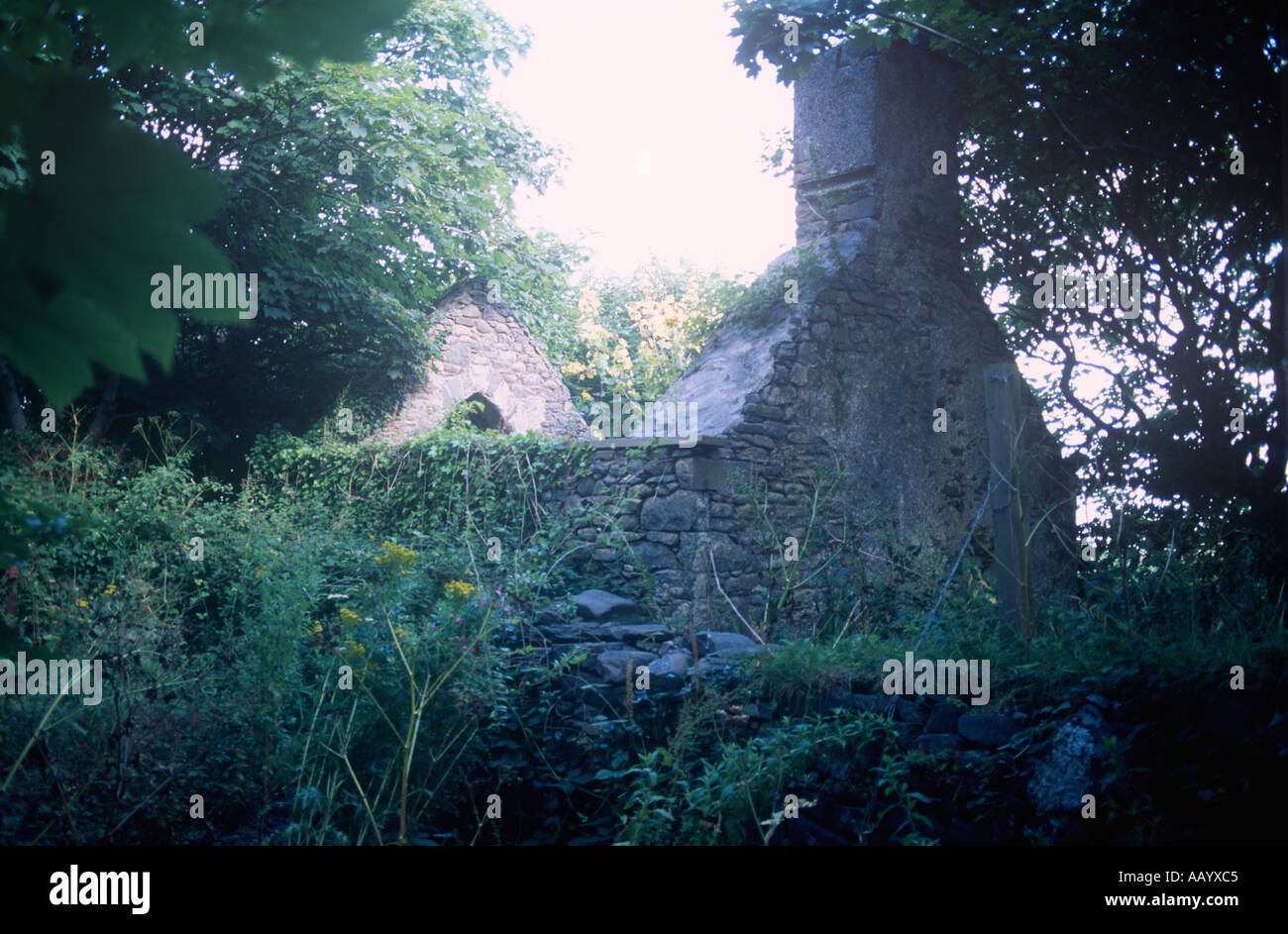 Ruined Chapel Plas Llanina Augustus John s Studio Dylan Thomas Trail ...